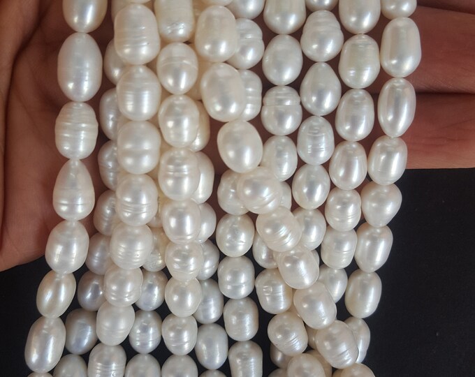 Newly Listed---- Natural Fresh Water Pearl---smooth Rondelle Shape ...