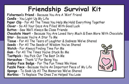 Friendship Survival Kit in A Can. Fun Gift & Card for A - Etsy Australia