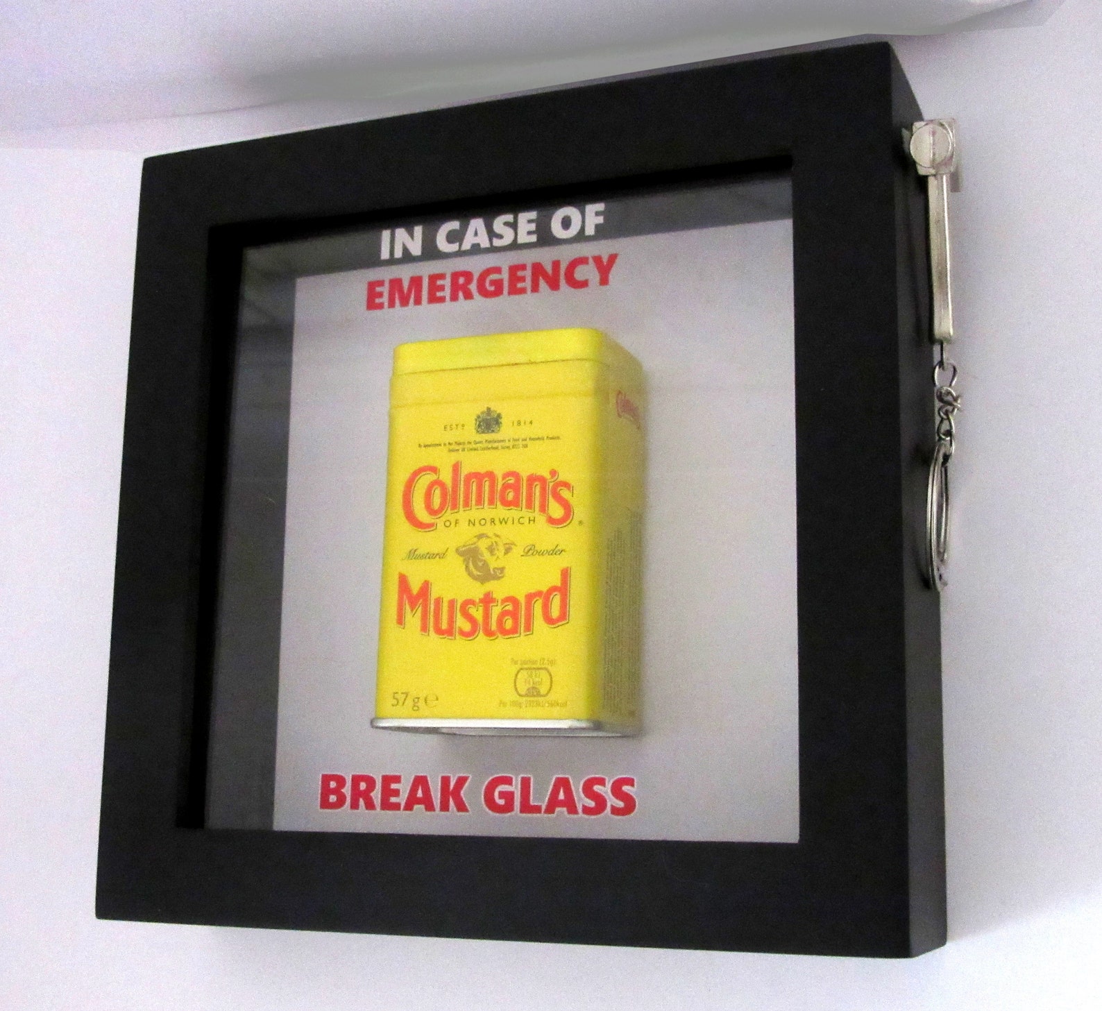 Birthday Present Emergency Gift Box. Fun Novelty Presentation 3d Frame ...