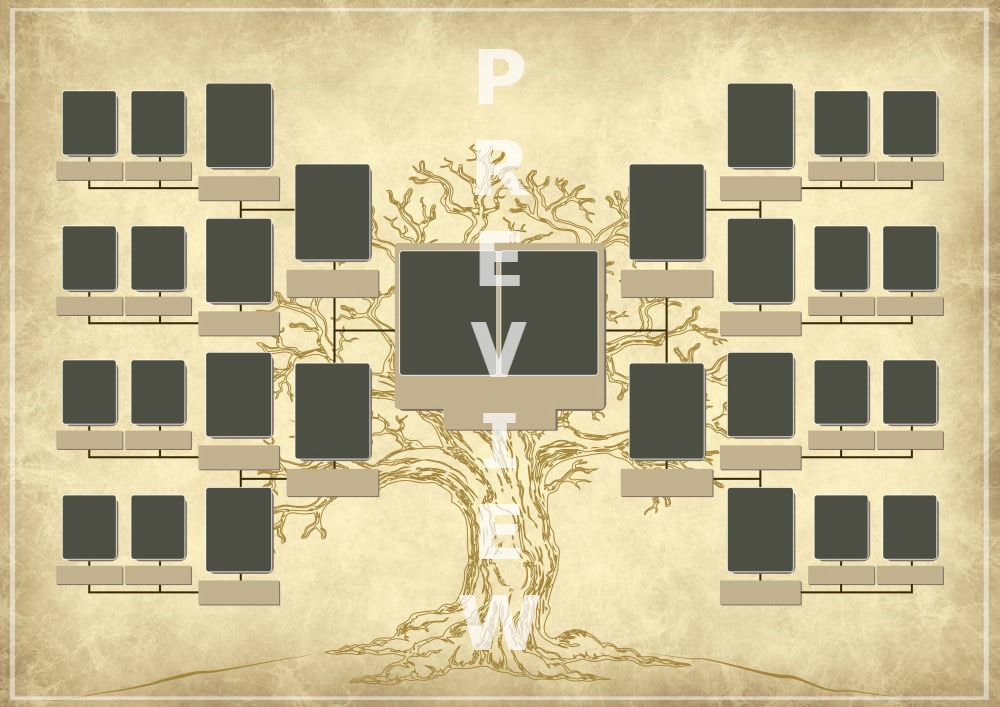 Plantilla De árbol Genealógico En Blanco De 4 Generaciones Árbol