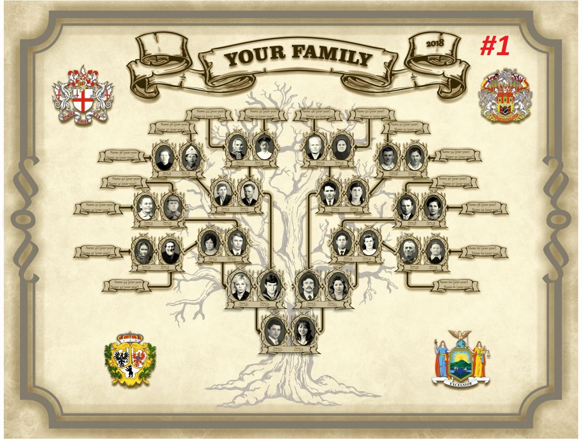 Big Family Tree