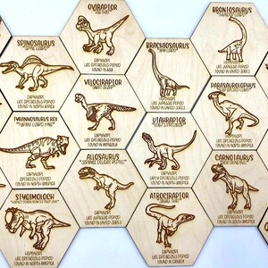 Dinosaur Fact Tokens Set of 18, Dinosaur Gifts - Etsy