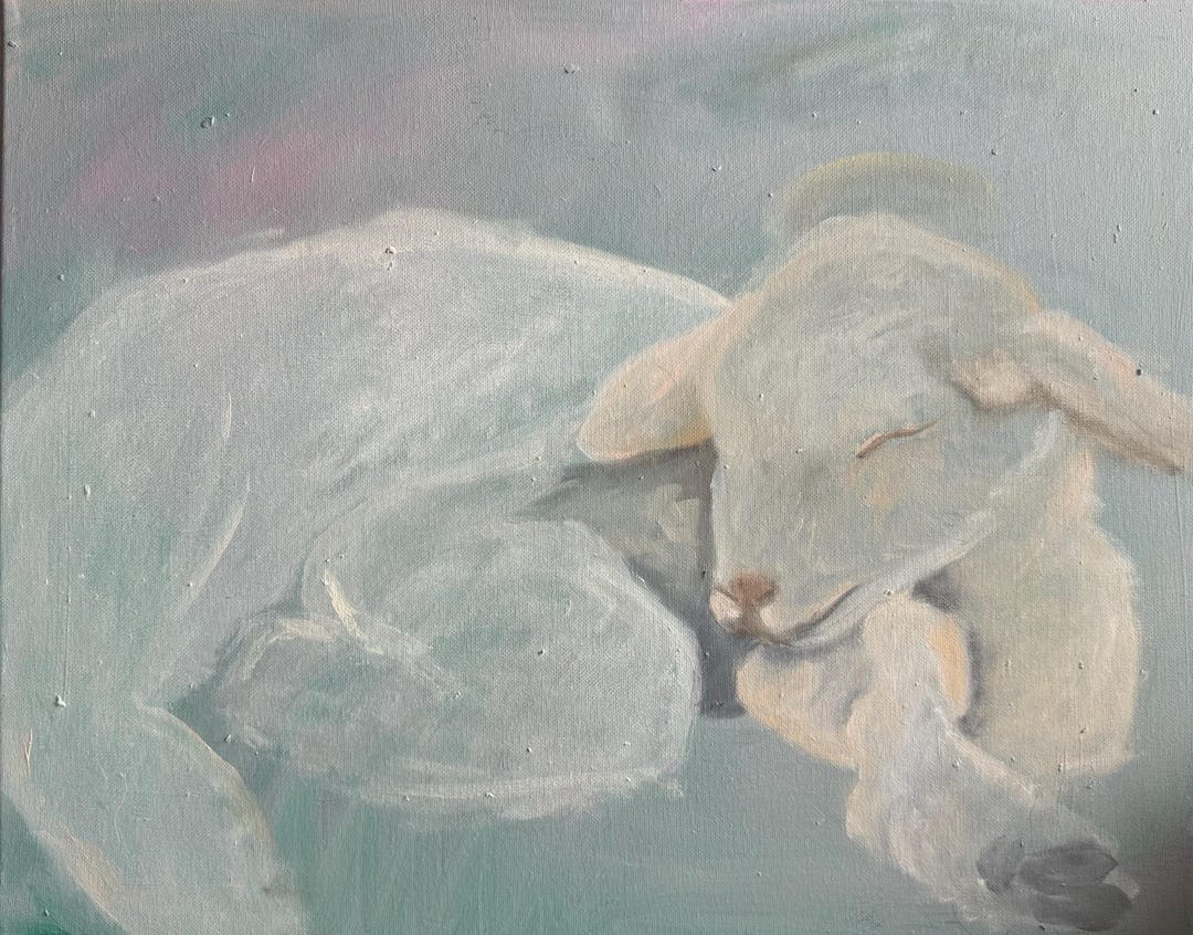 Loose Oil Painting Of Baby Lamb With Halo Oil On Stretched Canvas Etsy