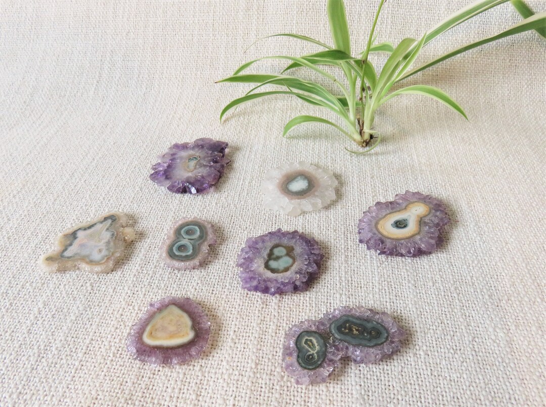 Amethyst Cactus Quartz Gemstone Cross Sections - Etsy