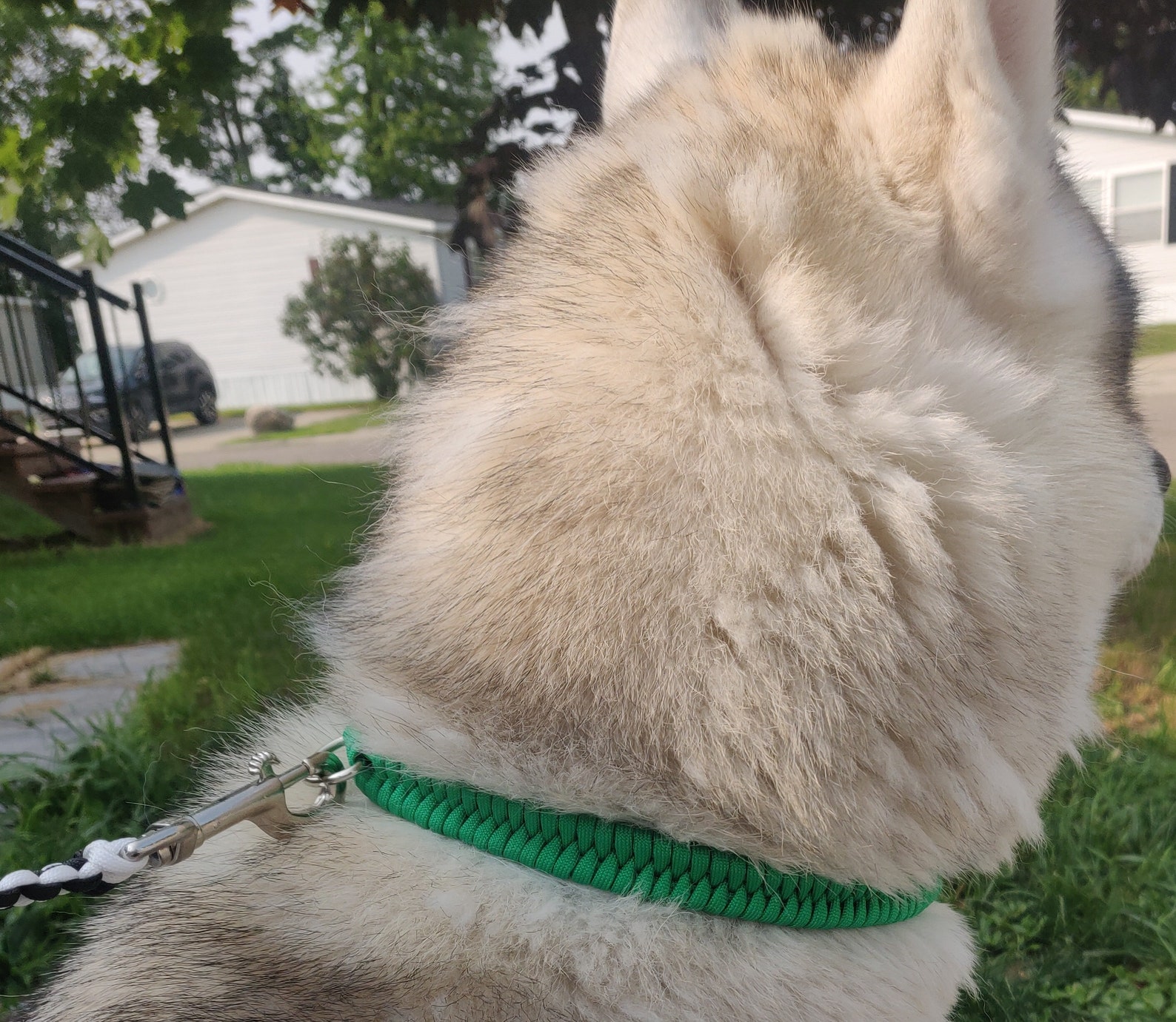Fishtail Paracord Collar choose Color - Etsy