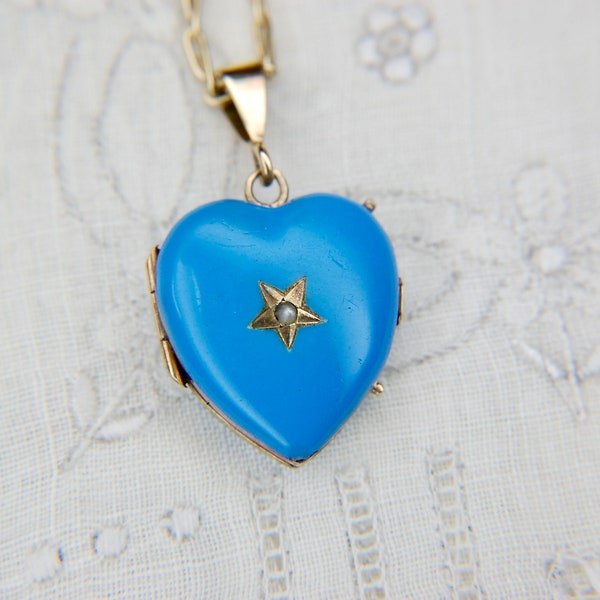 Robin Blue Egg - Etsy