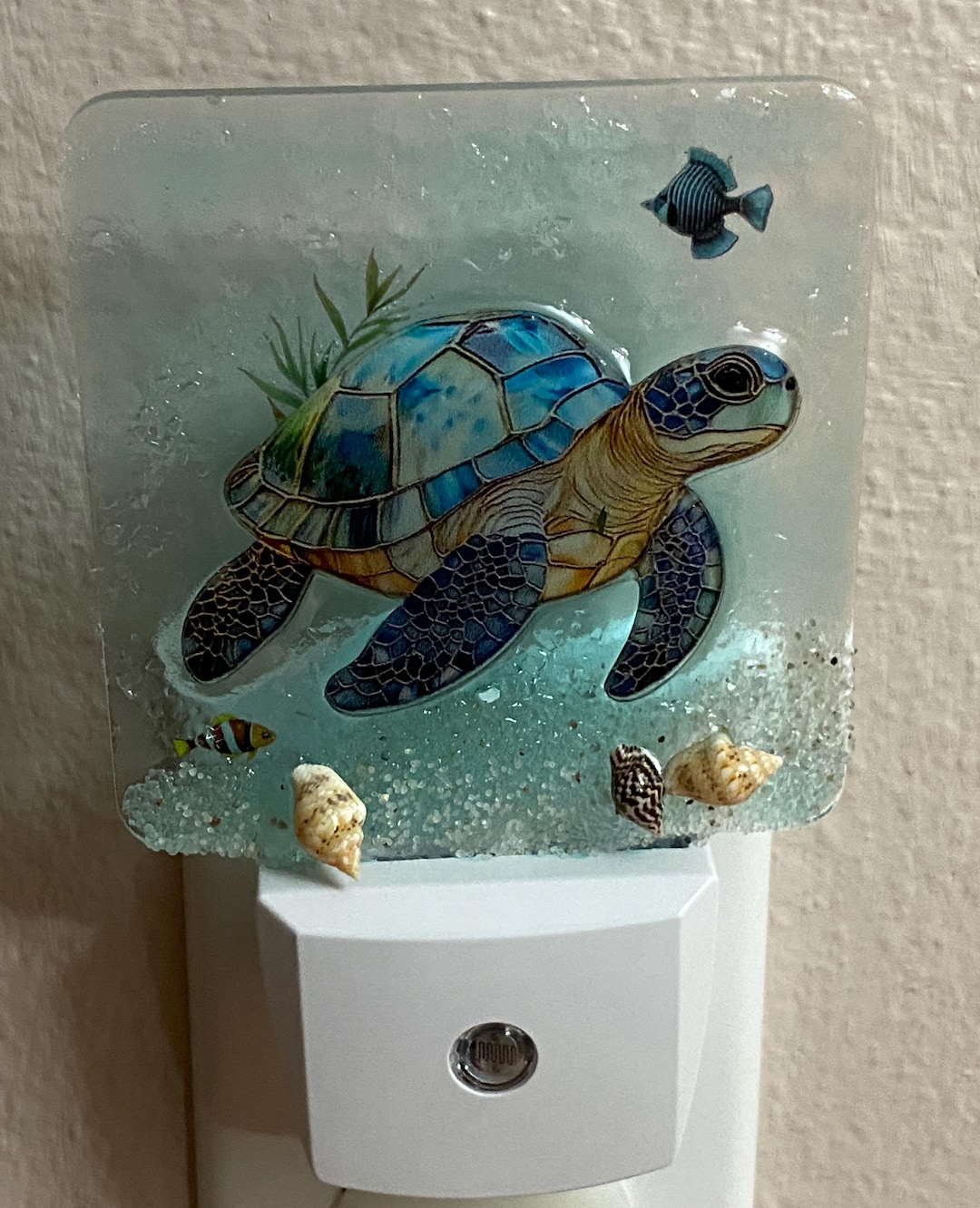 Coastal Sea Turtle Night Light. With Seashells and Fish - Etsy