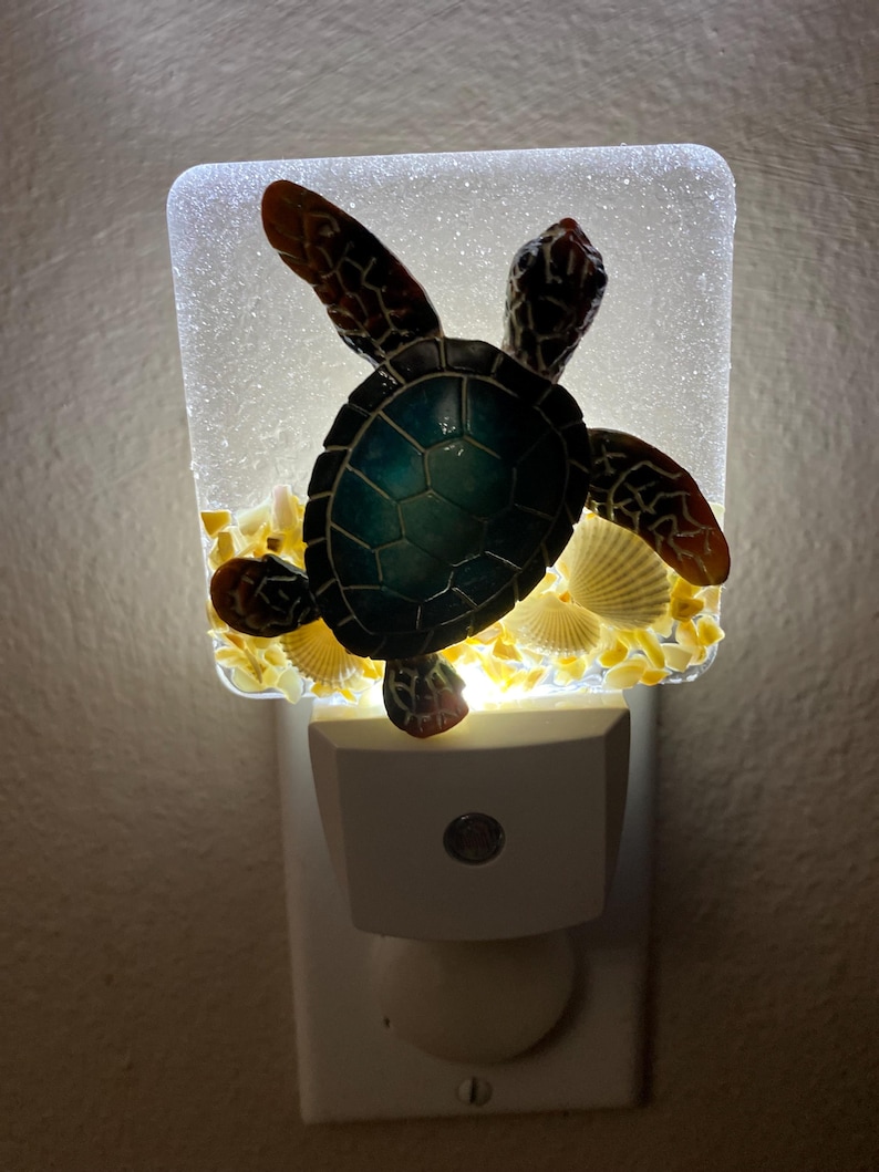 Coastal Sea Turtle Night Light. With Crushed Shells. - Etsy