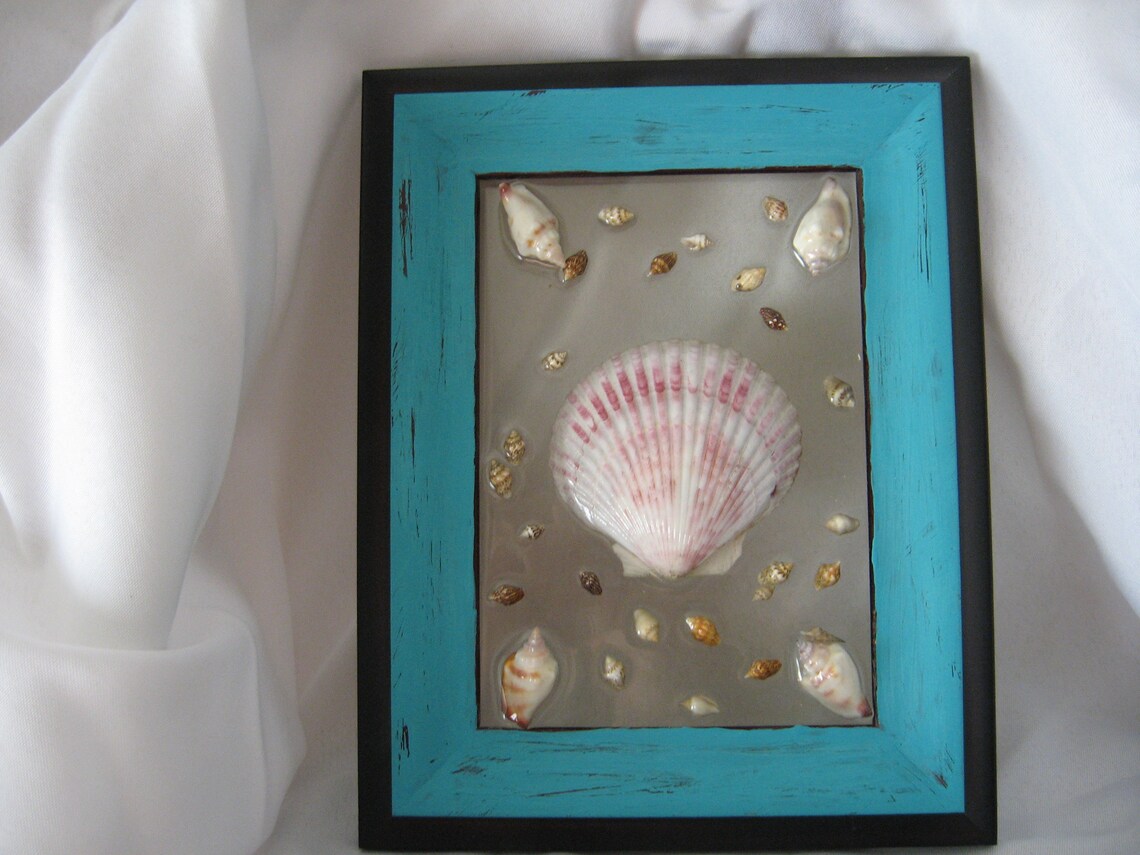 Glass framed sea shell art coastal decor | Etsy