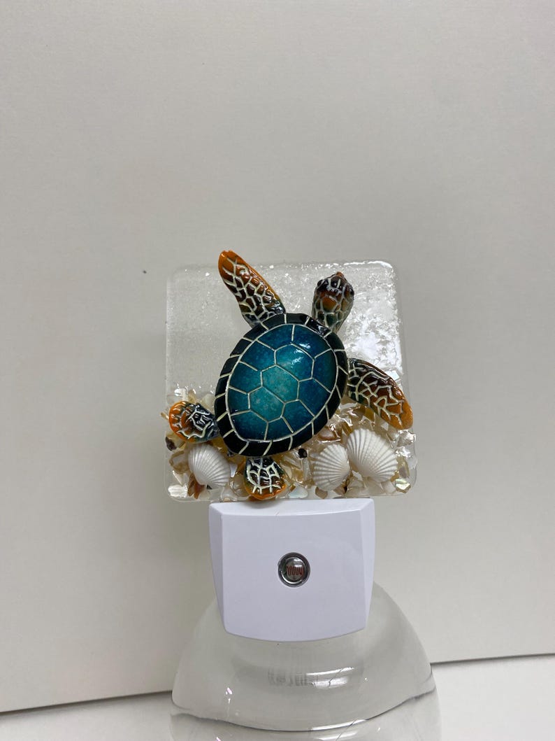Coastal Sea Turtle Night Light. With Crushed Shells. - Etsy