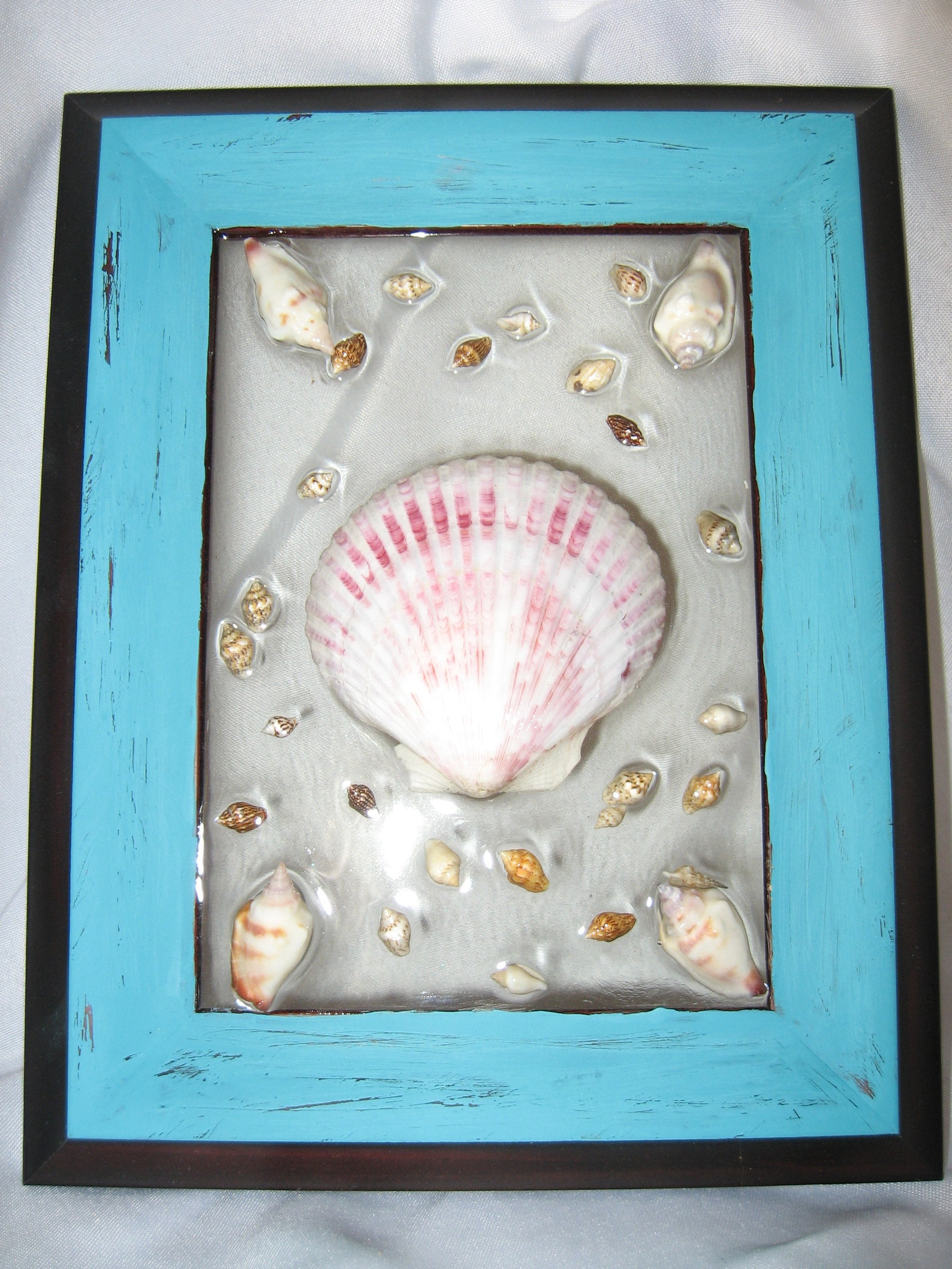 Glass Framed Sea Shell Art Coastal Decor | Etsy