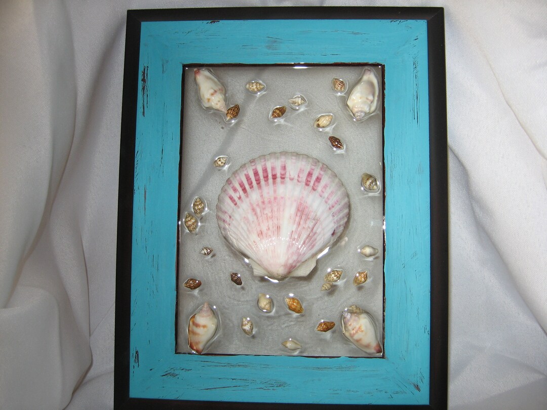 Glass Framed Sea Shell Art Coastal Decor - Etsy