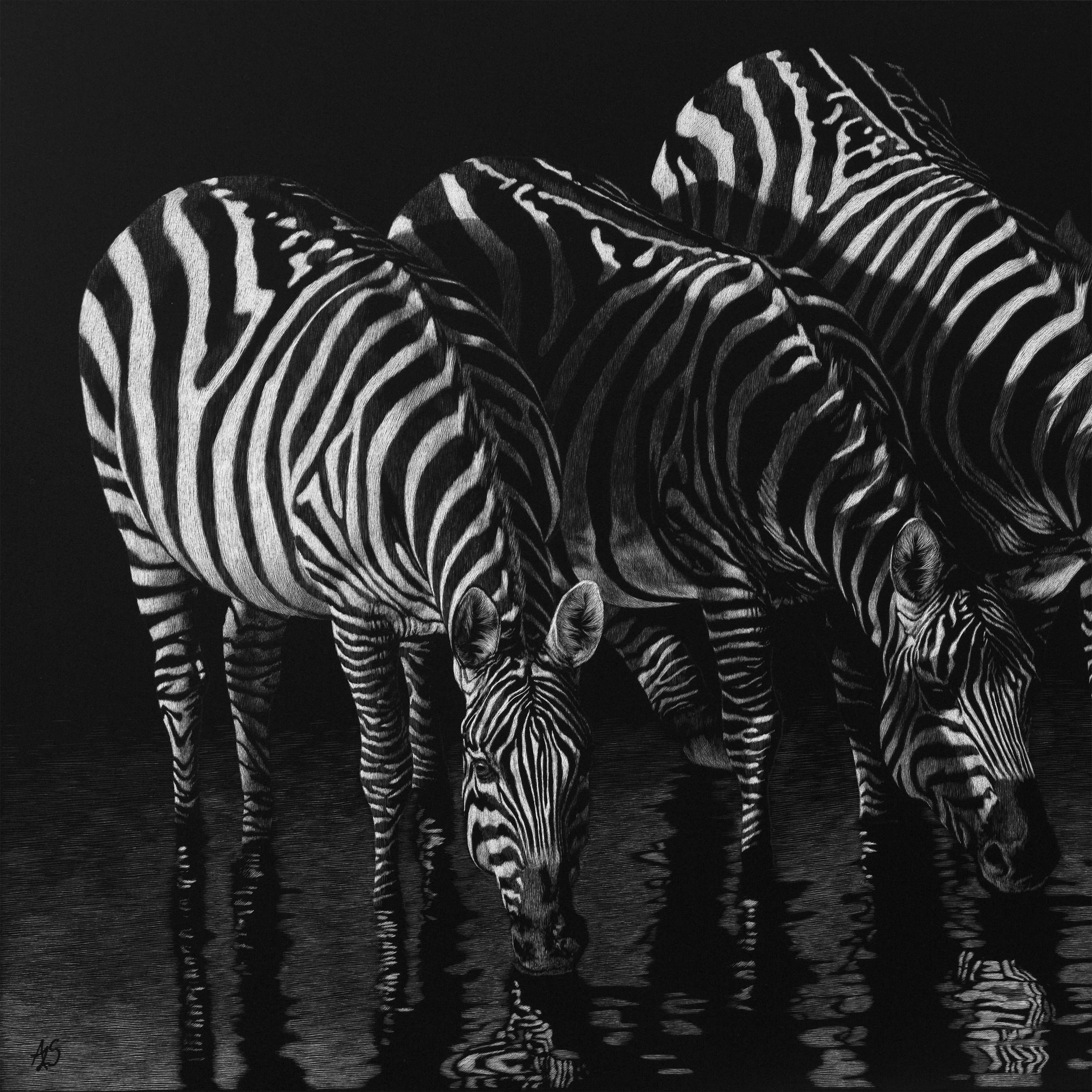 Zebra Herd Art Print | Scratchboard Fine Art Print | Black and White ...