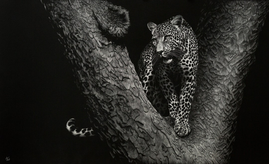 Leopard | Scratchboard Fine Art Print | Wildlife Decor - Etsy