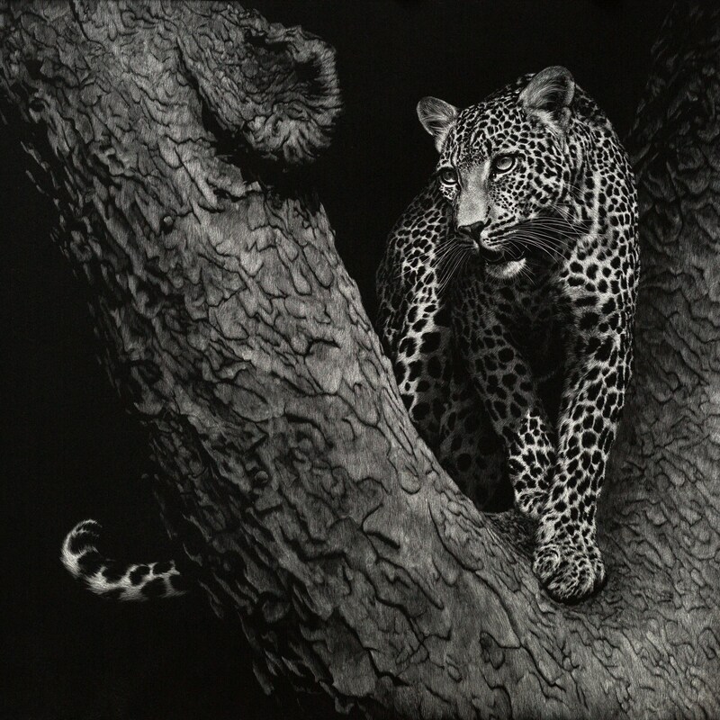 Scratchboard Art - Etsy