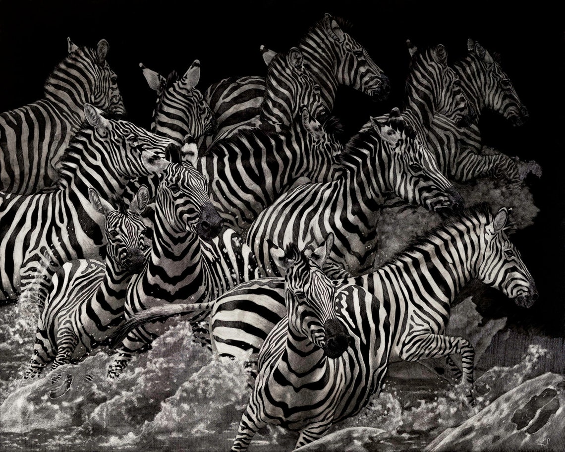 Zebra Herd Art Print Scratchboard Fine Art Print Black and - Etsy UK