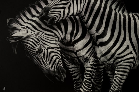 Zebra Couple Art Print Scratchboard Fine Art Print Black | Etsy