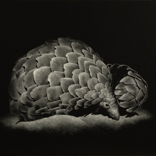 Scratchboard Art - Etsy