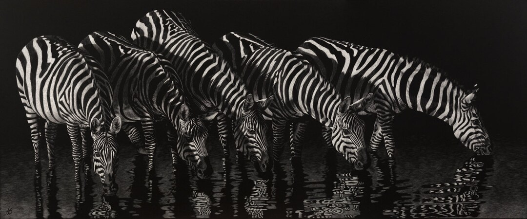 Zebra Herd Art Print | Scratchboard Fine Art Print | Black and White ...