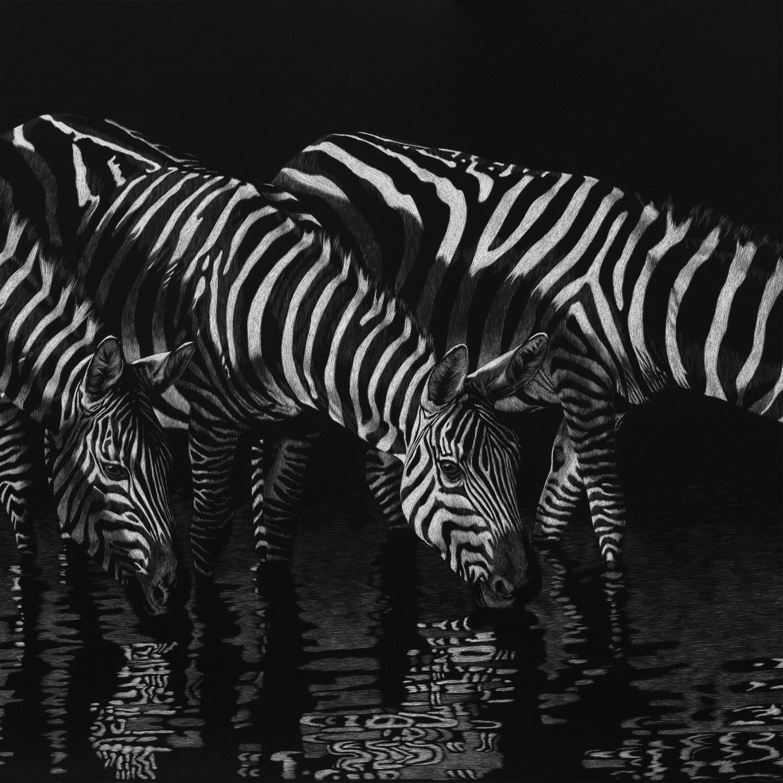 Zebra Herd Art Print Scratchboard Fine Art Print Black and White ...