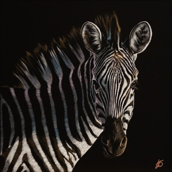 Zebra Art Print Scratchboard Fine Art Print Wildlife Decor | Etsy