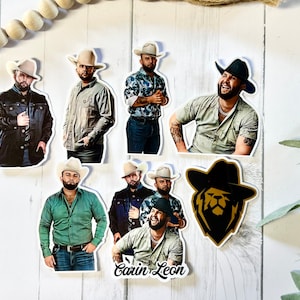 Carin Leon Sticker Pack - Etsy