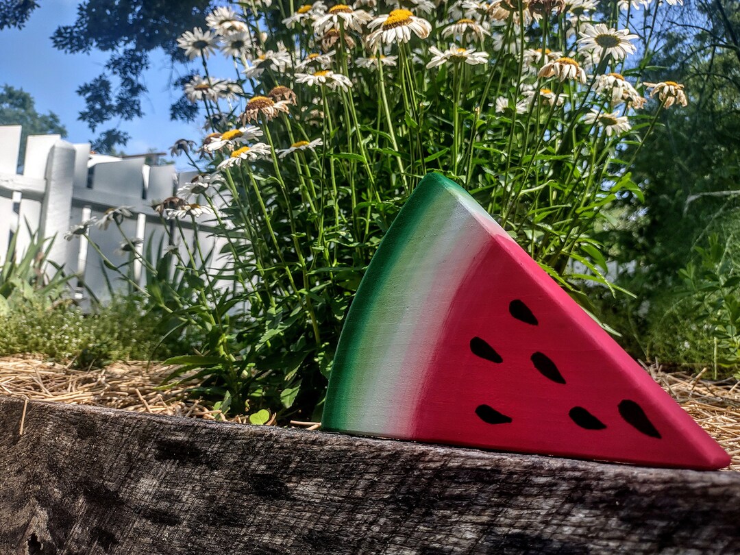 Watermelon Tiered Tray Decor Watermelon Decor Summer Decor Watermelon ...