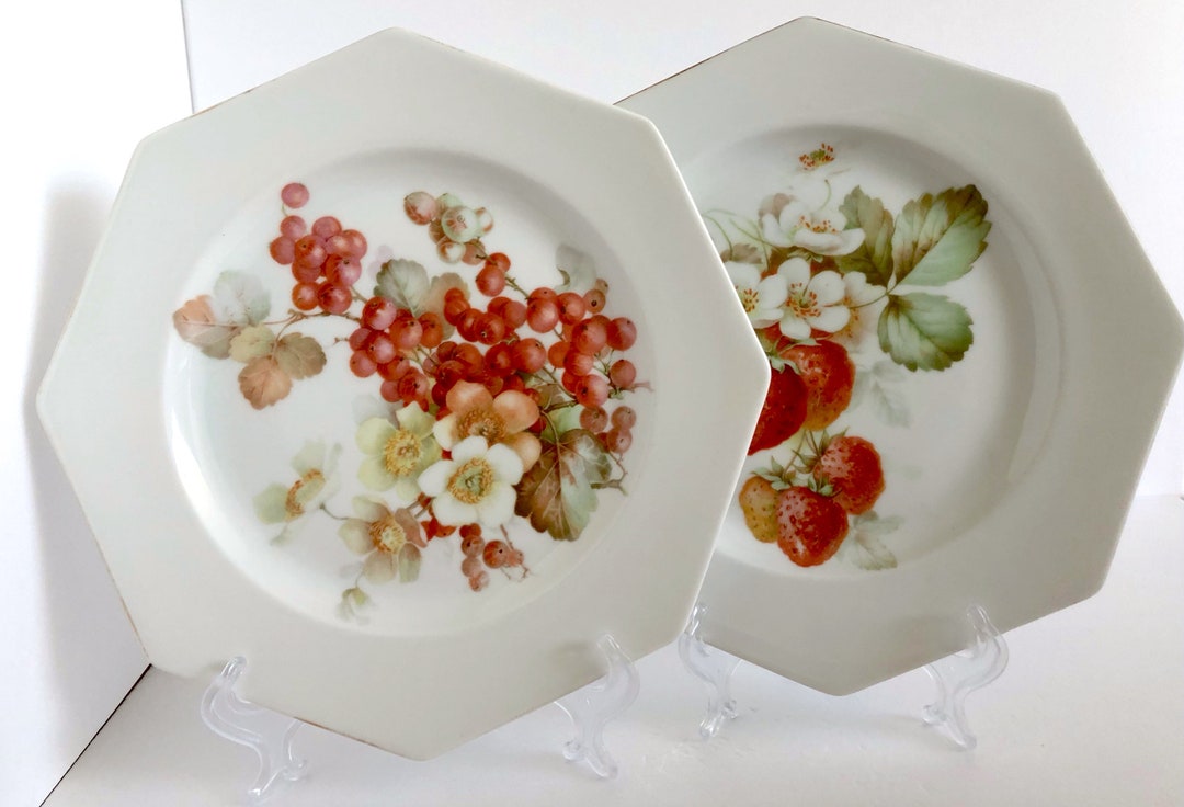 Vintage Irish Octagon Plates With Fruit Patterns Salad/ Dinner Plate - Etsy