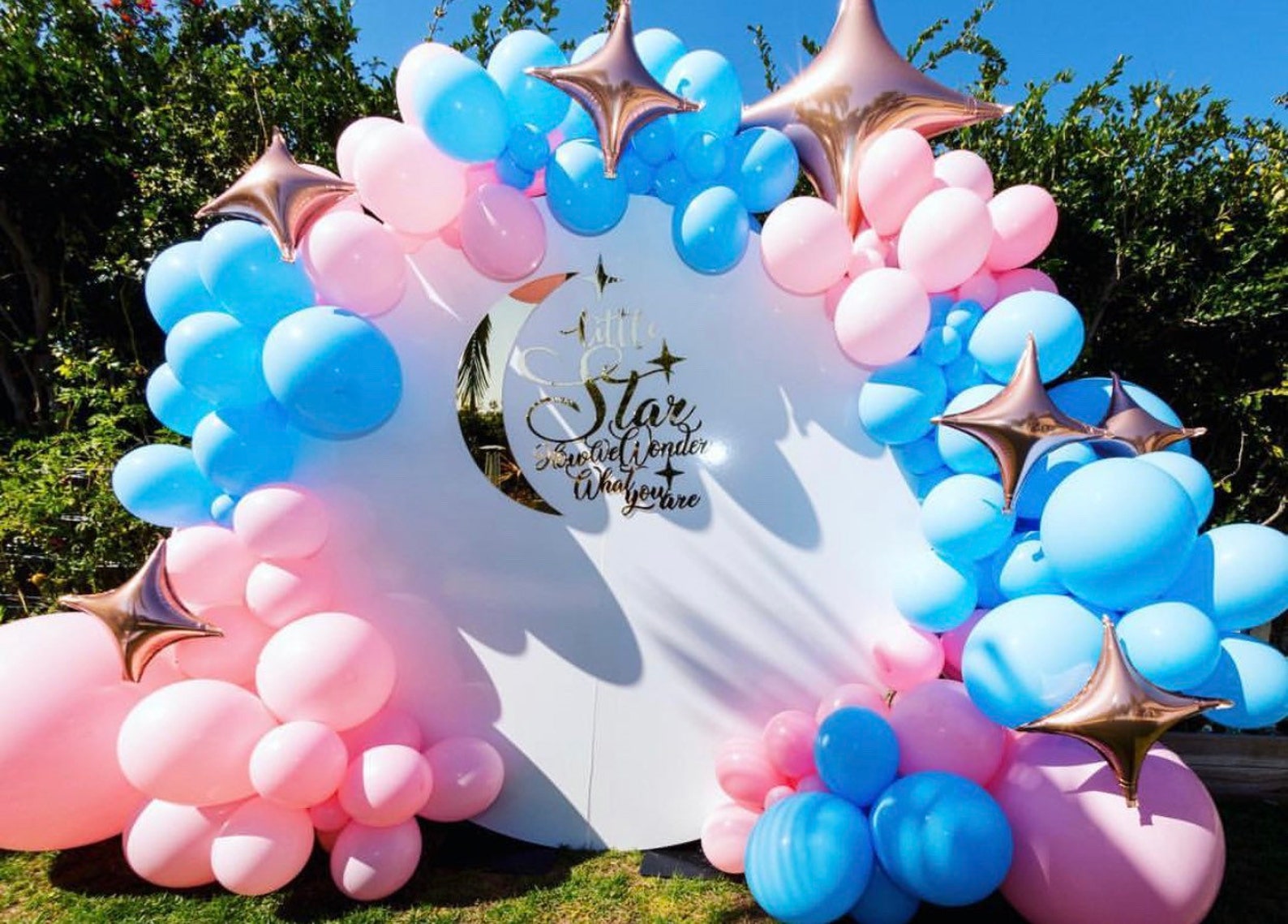 Gender Reveal Back Drop Sign. little Star How We Wonder - Etsy