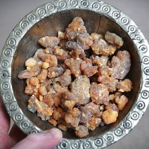 SUPERIOR GALBANUM - Ferula Gummosa - Incense Resin - Etsy