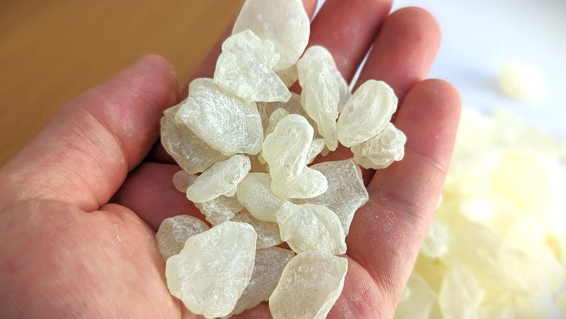 MASTIC OF CHIOS - Large Tears - Very Rare Incense Resin - Pistacia ...
