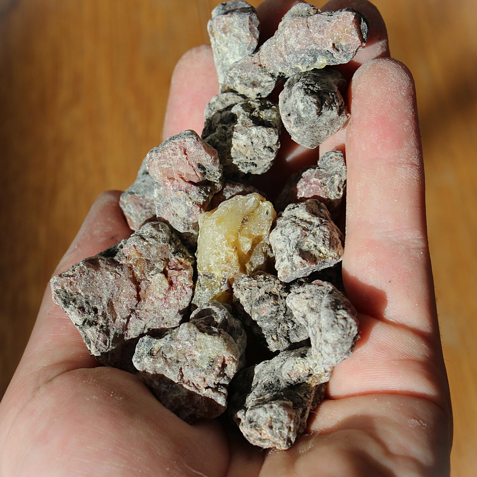 Estonian Spruce Resin - Picea Abies - Etsy