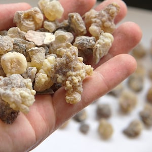 NEWLY DISCOVERED FRANKINCENSE - Coastal Pakistan - Unknown Species - Etsy