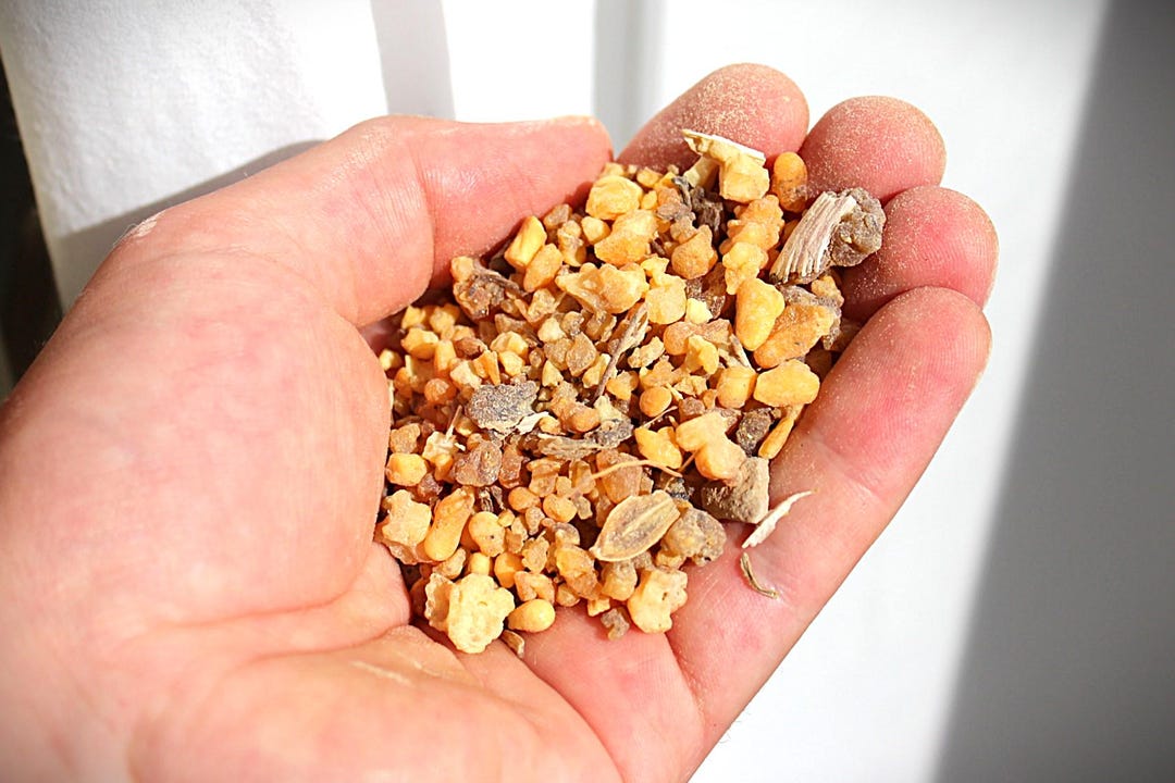 MUSK ROOT RESIN - Rare and Warming Incense Resin - Ferula Sumbul - Etsy