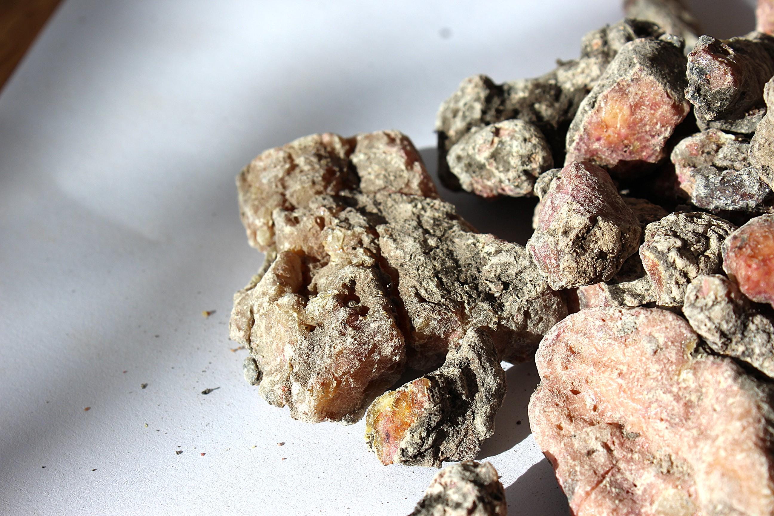 Estonian Spruce Resin - Picea Abies - Etsy