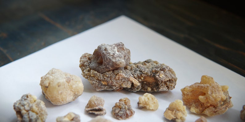 NEWLY DISCOVERED FRANKINCENSE - Coastal Pakistan - Unknown Species - Etsy