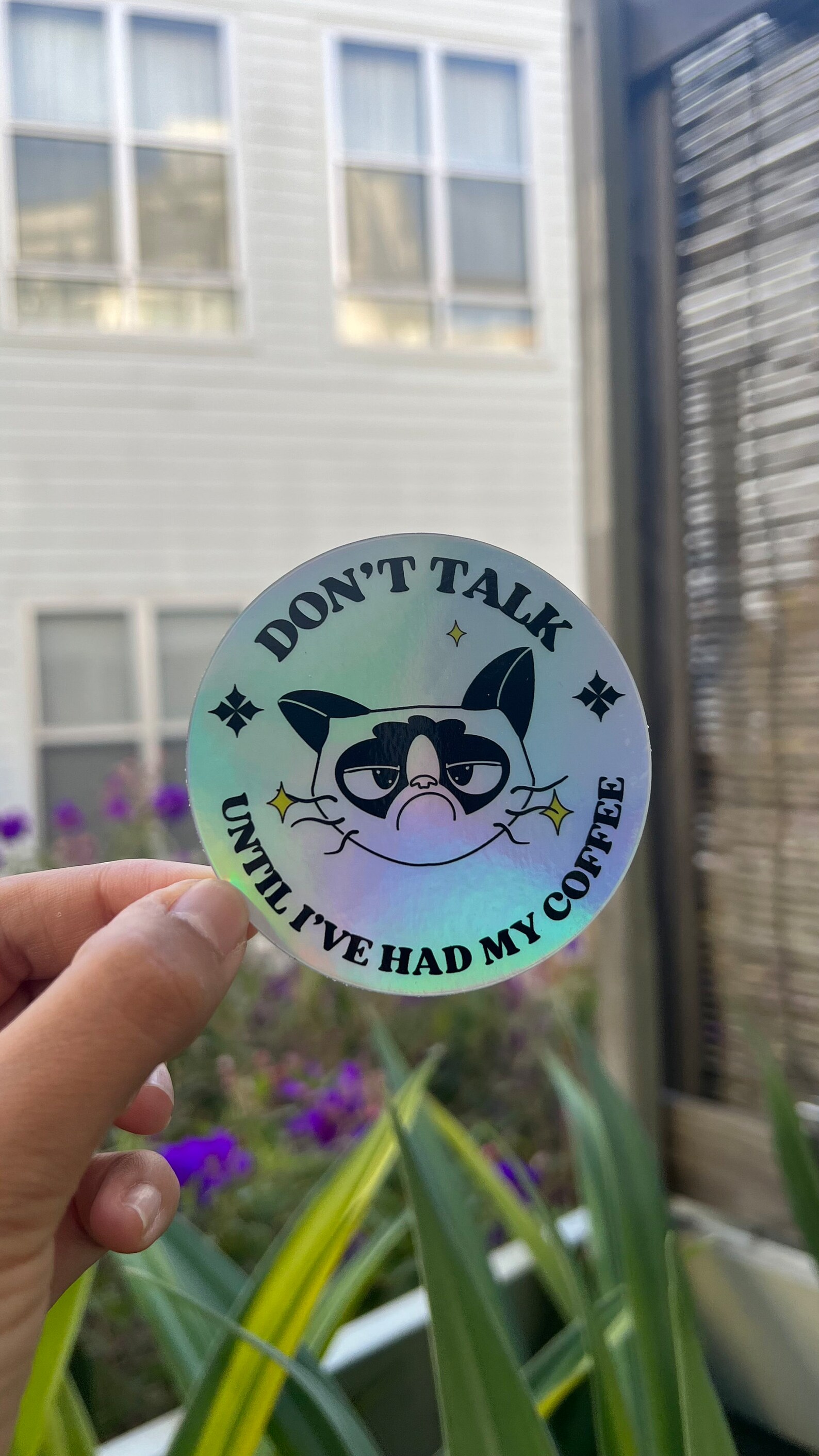 Grumpy Cat Holographic Sticker Set Coffee, Tolerance, Permanently ...