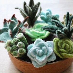 Felted Succulent - Succulent Garden - Needle Felting Pattern - Learn to ...
