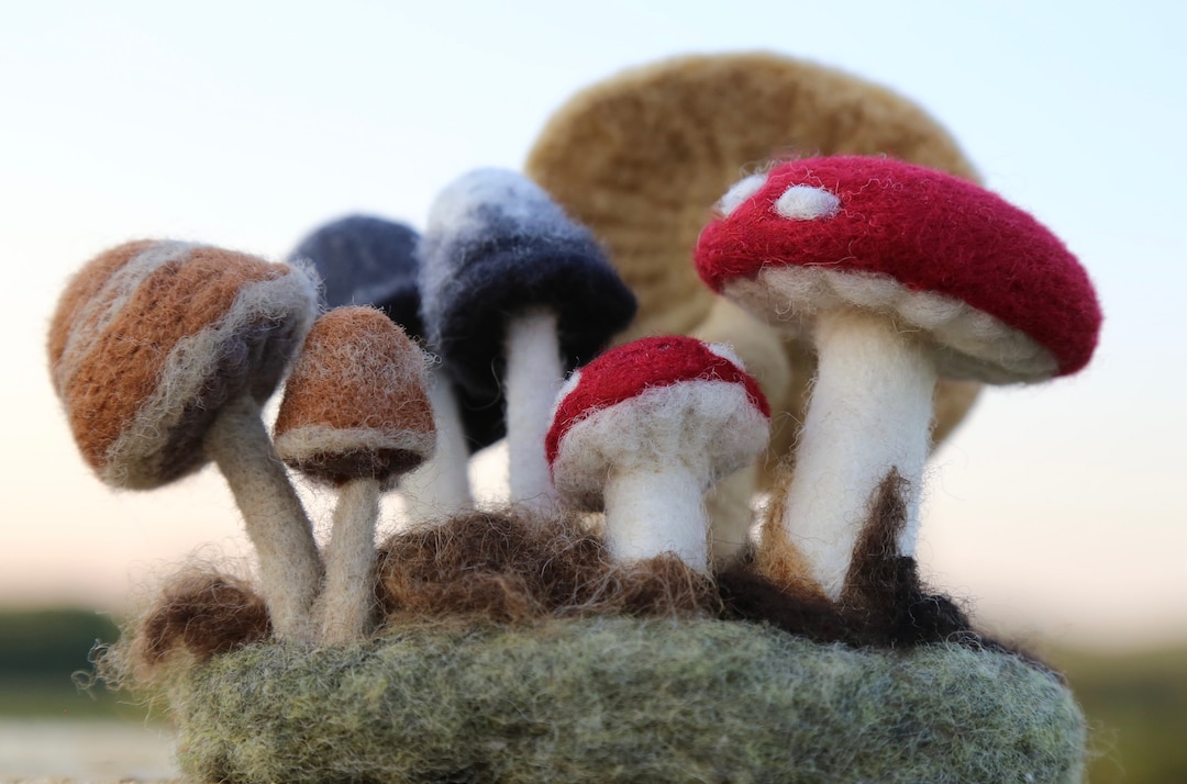 Mushroom Needle Felting Pattern - Toadstool PDF - Felted Sculpture ...