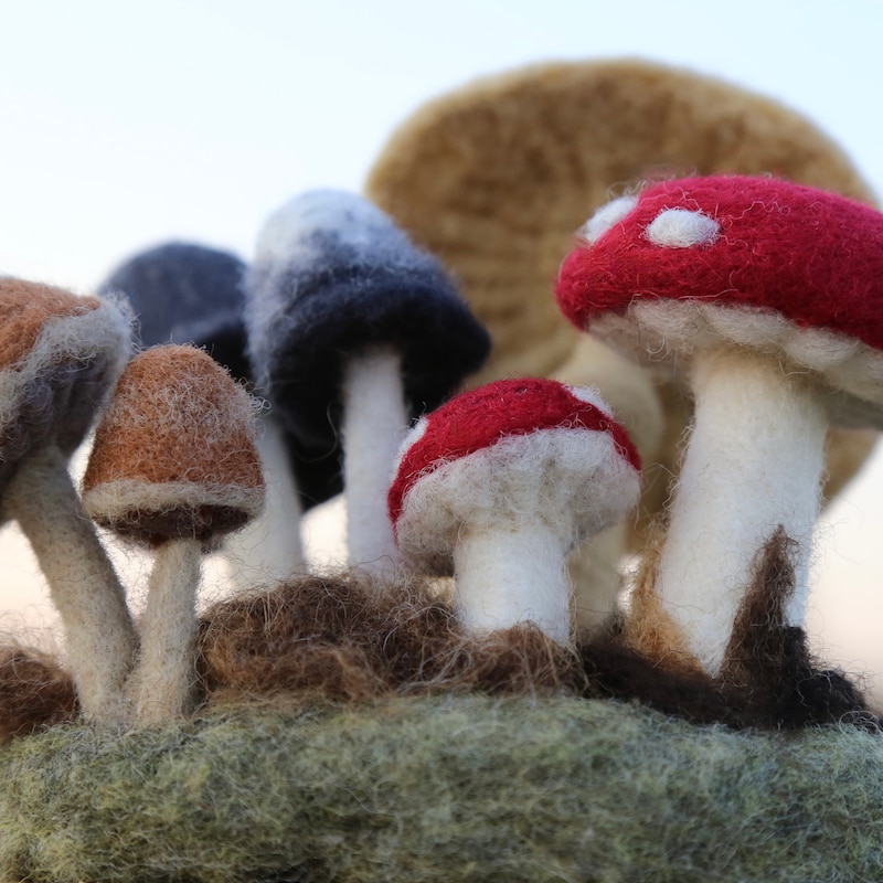Needle Felted Mushroom - Etsy
