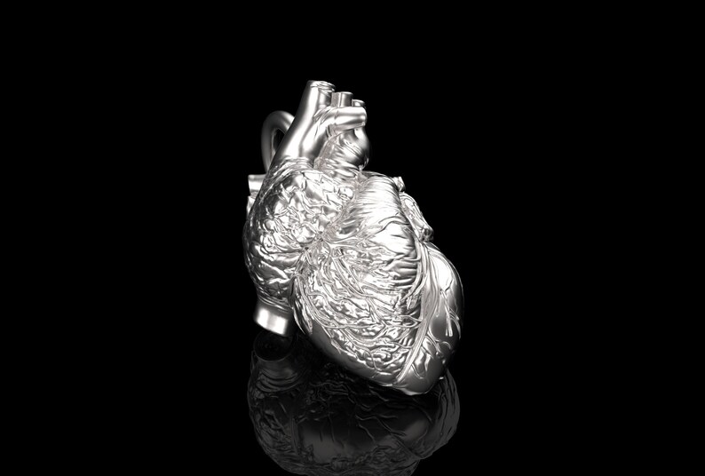 Steling Silver Human Heart Solid Pendant Necklace, Anatomical Heart ...