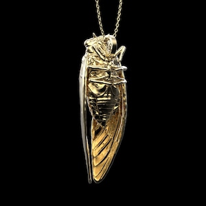Bronze Cicada Necklace Pendant, Cicada Jewelry, Bug Jewelry, Insect ...