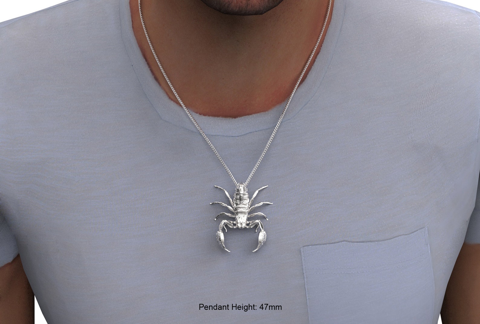 Sterling Silver Scorpion Pendant Necklace, Scorpion Jewelry, Zodiac ...