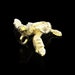 Yellow Gold Plated Sea Turtle Hatchling Necklace, Sealife Pendant, Baby ...