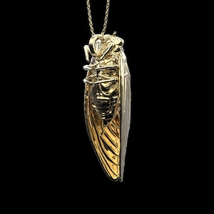 Bronze Cicada Necklace Pendant, Cicada Jewelry, Bug Jewelry, Insect ...
