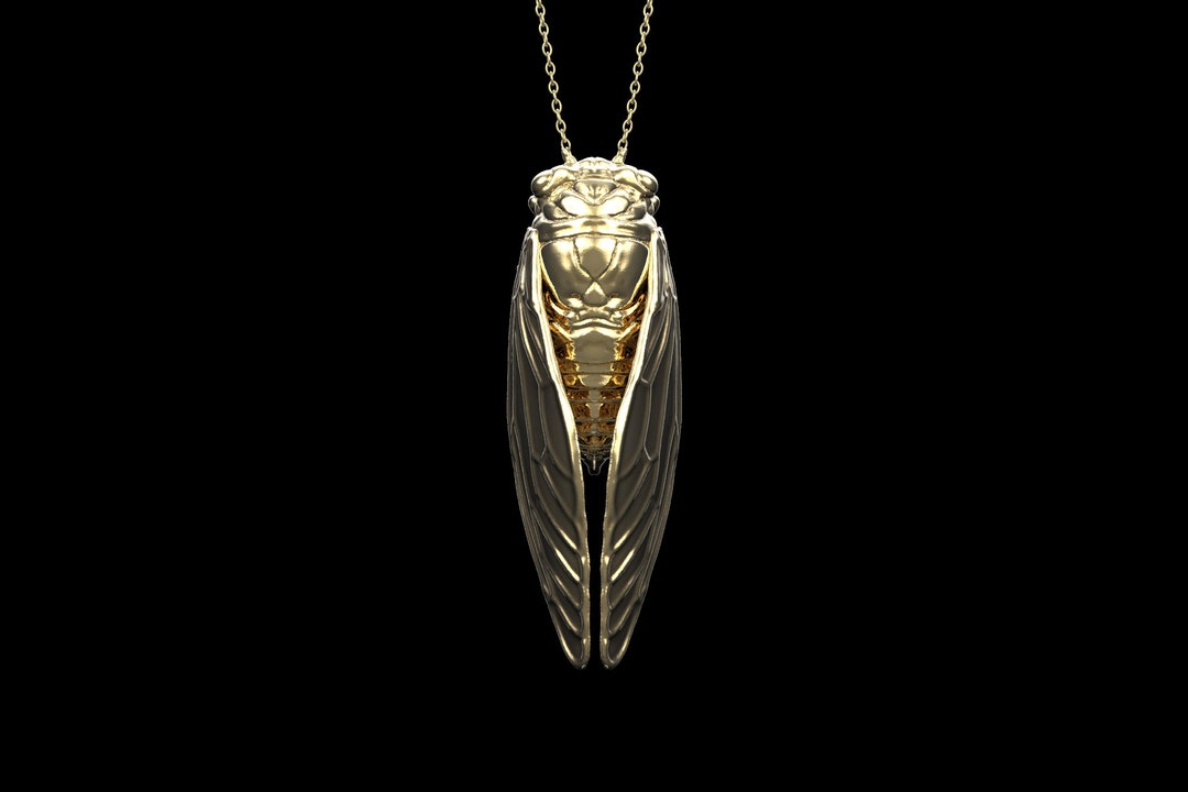 Bronze Cicada Necklace Pendant, Cicada Jewelry, Bug Jewelry, Insect ...