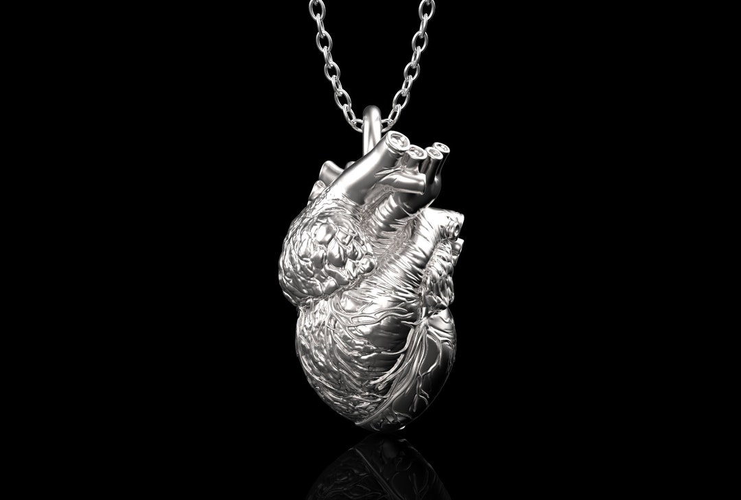 Steling Silver Human Heart Solid Pendant Necklace, Anatomical Heart ...