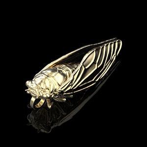 Bronze Cicada Necklace Pendant, Cicada Jewelry, Bug Jewelry, Insect ...