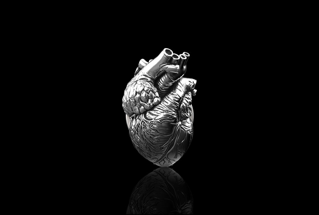 Steling Silver Anatomical Heart Lapel Pin Human Heart Brooch Medical ...