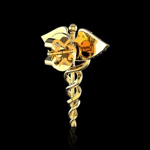 Yellow Gold Plated Caduceus Lapel Pin, Pharmacy Brooch, Gift for Doctor ...